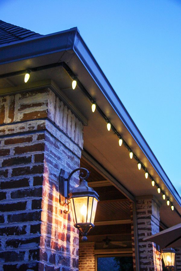 Photo Gallery – Lite-Netics