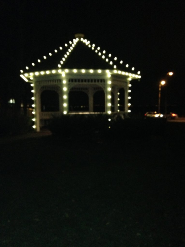 Photo Gallery – Lite-Netics