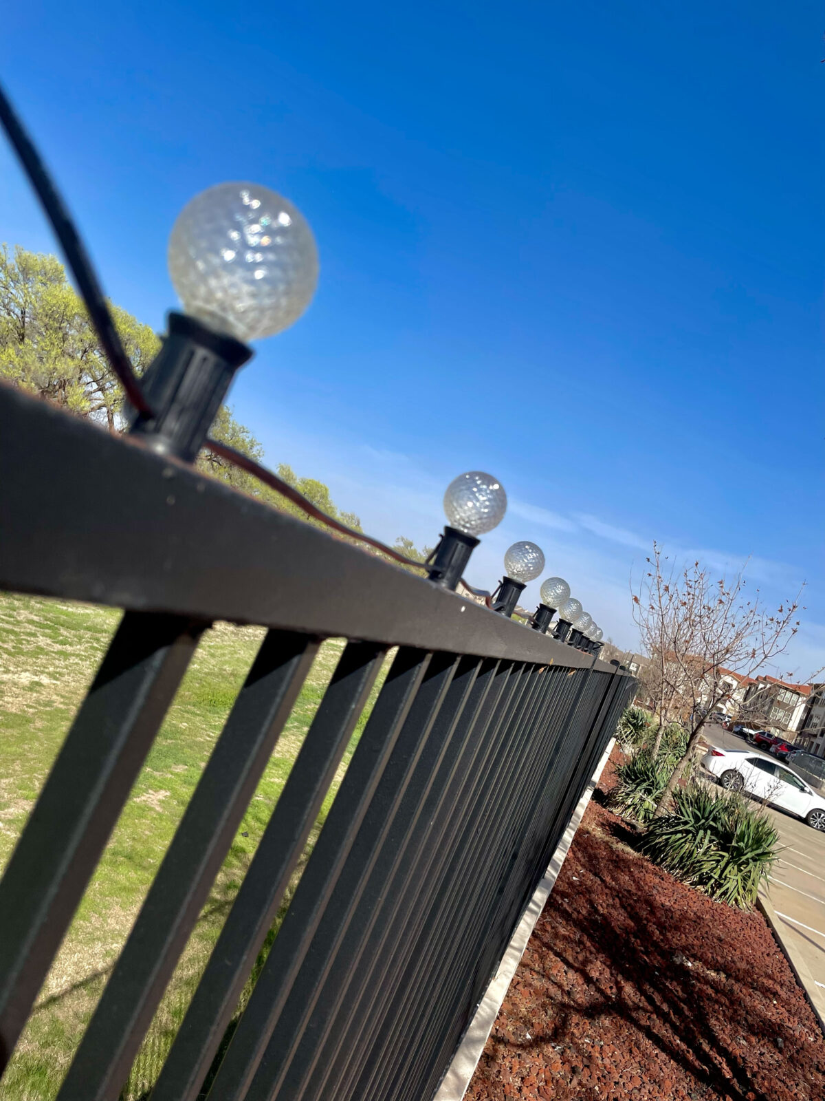 Photo Gallery – Lite-Netics