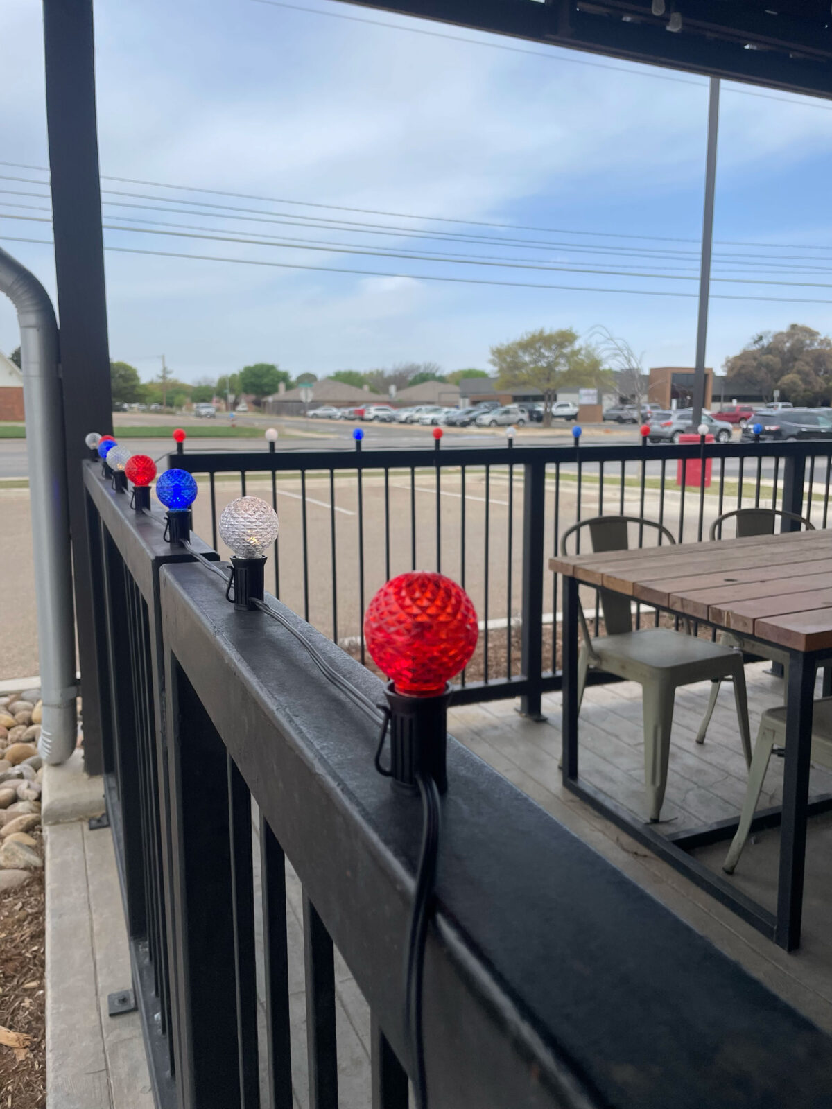 Photo Gallery – Lite-Netics